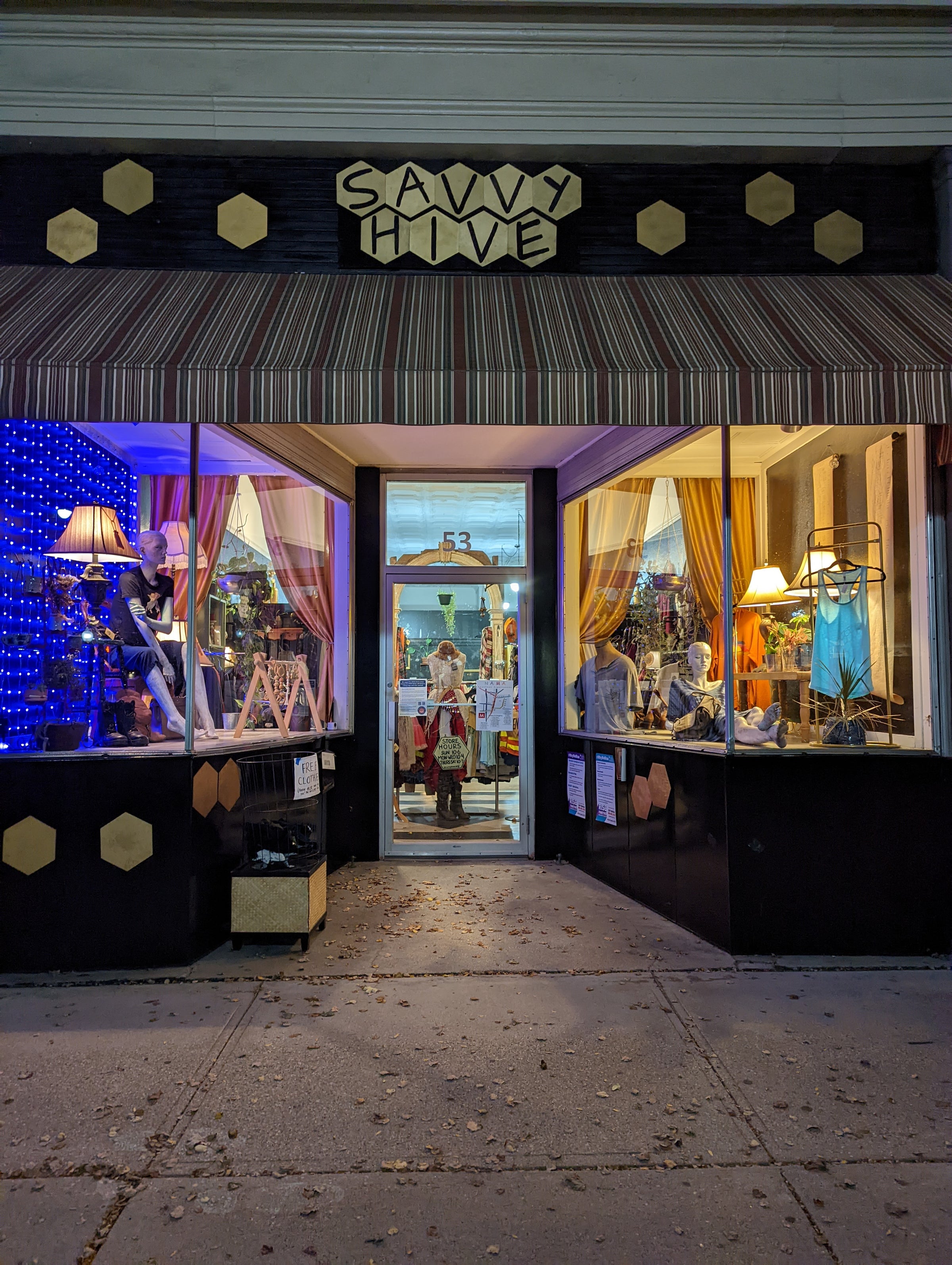 Savvy Hive Thrive Campaign | Savvy Hive
